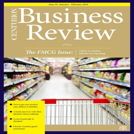 Business Review_Issue 1_softcopy | PDF | Economy | Business and Finance