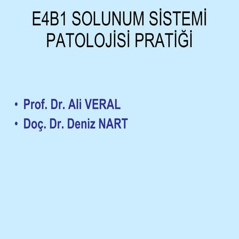 1 e4 b1 pratik | PPT
