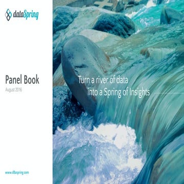 dataSpring Panel Book August 2016 | PDF