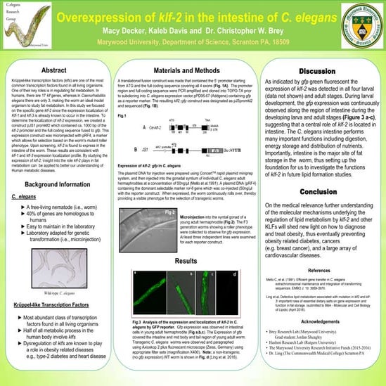 May 2016 Research Poster | PPTX