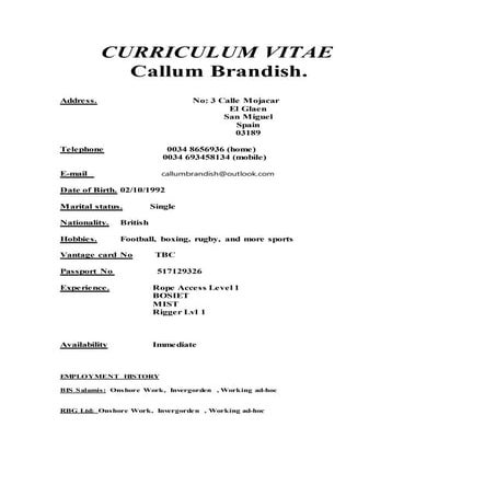 callum brandish cv | DOCX