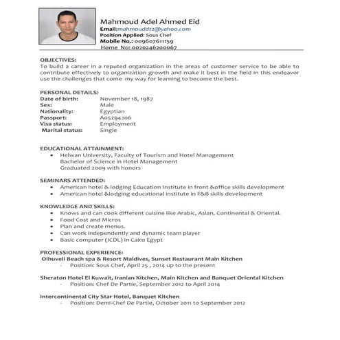 Mahmoud Adel CV | PDF