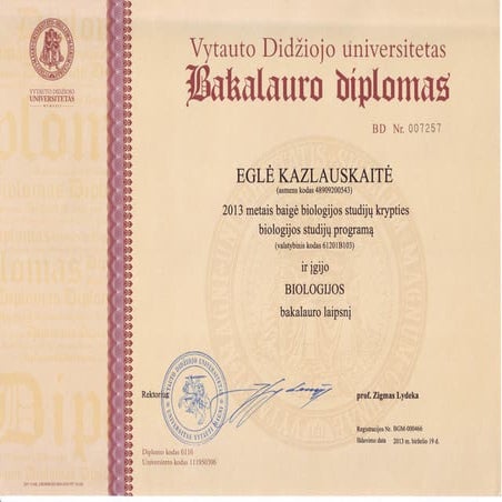 Bachelor Diploma.PDF