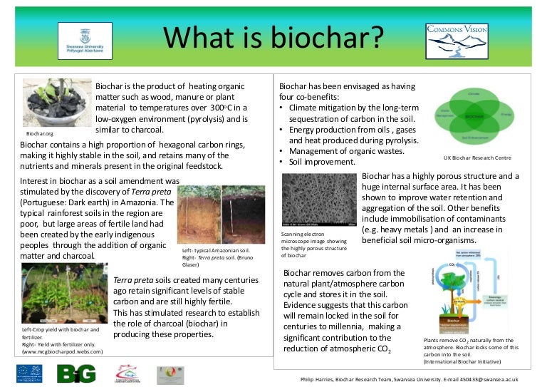 What is biochar (2)