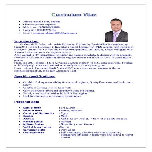 Ali Raza's CV | DOCX