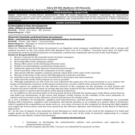 Alaa Radwan CV3 | PDF