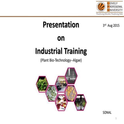 Industrial Training ppt | PPTX
