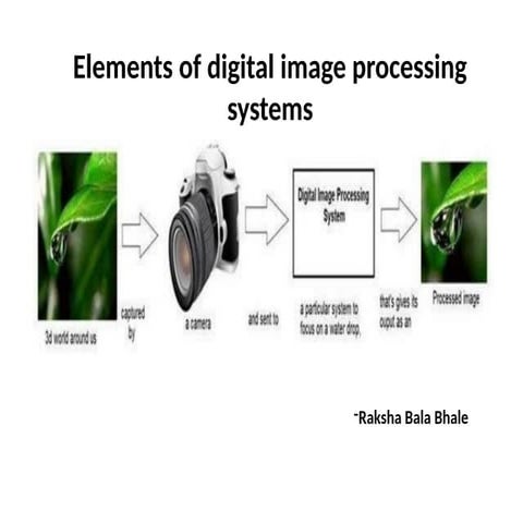 1 Elements of digital image processing.pptx