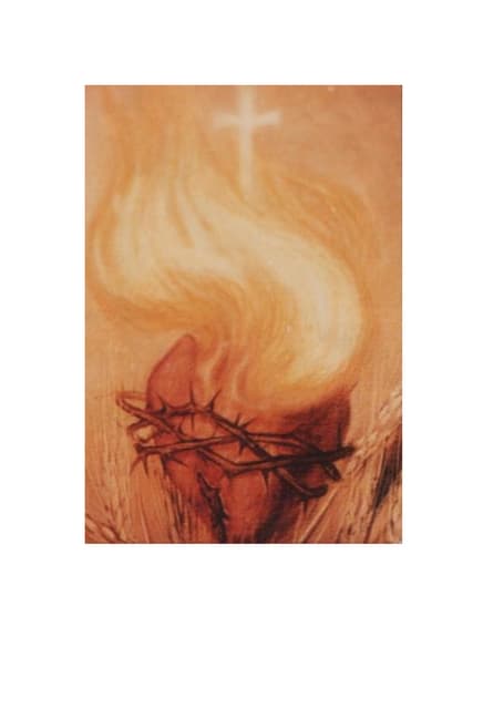 CIC 16 Preliminary Program | PPT