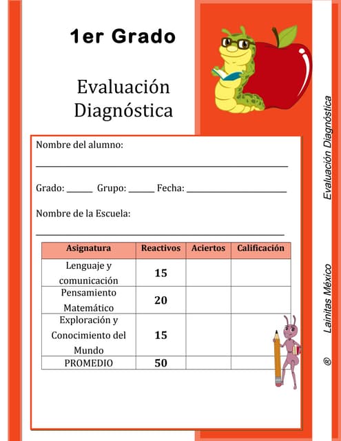 Diagnostico inicial de primer grado de primaria | PDF