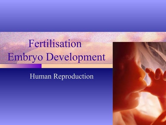 Human embryonic development | PPT | Infertility | Reproductive Health