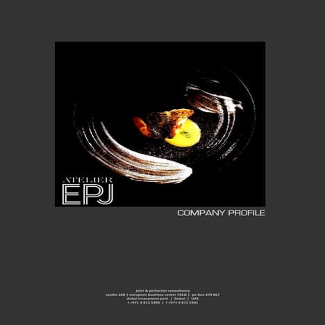 EPJ -profile 2016e | PDF