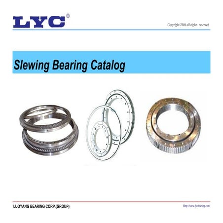 LYC Slewing Bearing Catalog | PPT