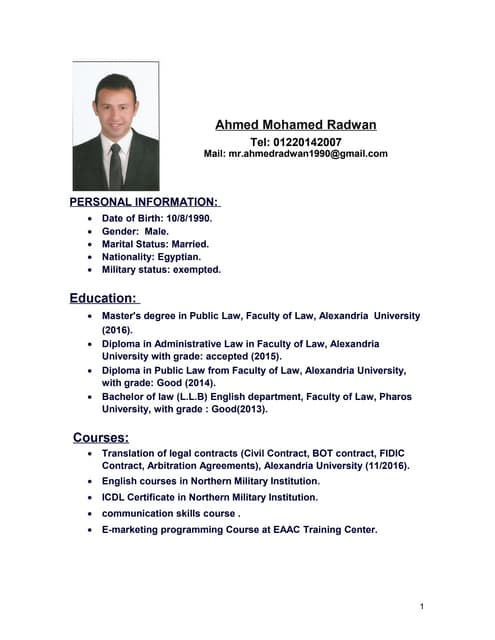 Curriculum Vitae -Mahmoud Amer | PDF
