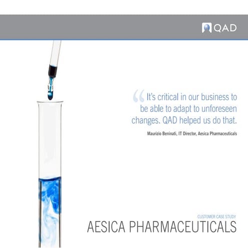 Bilcare GCS Packaging and Labeling Capabilities | PDF