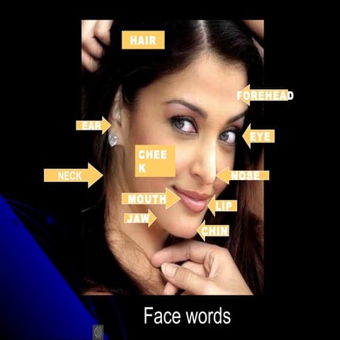 1 face words | PPT