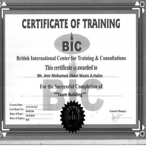 Team Building certificate | PDF