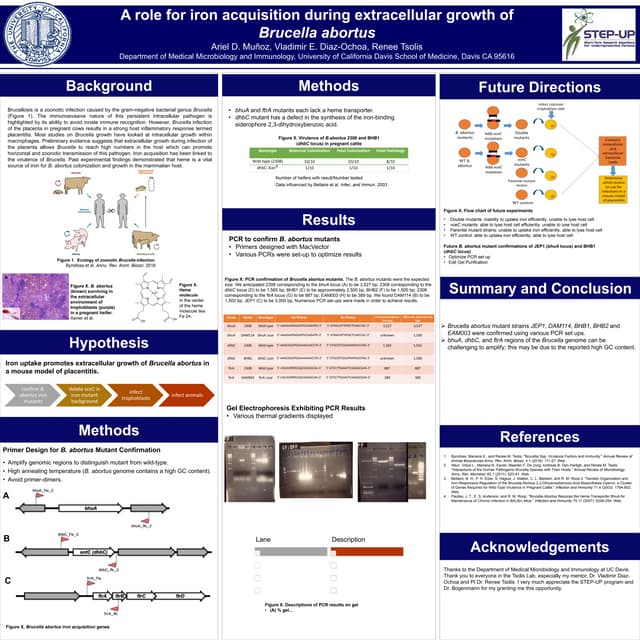 Step-Up Poster (4) | PPTX