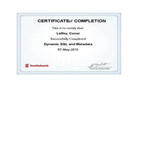 Dynamic SQL and Metadata | PDF