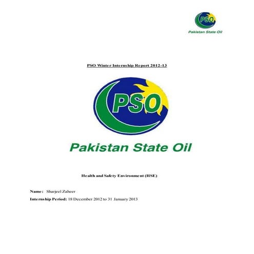 PSO internship report | DOCX