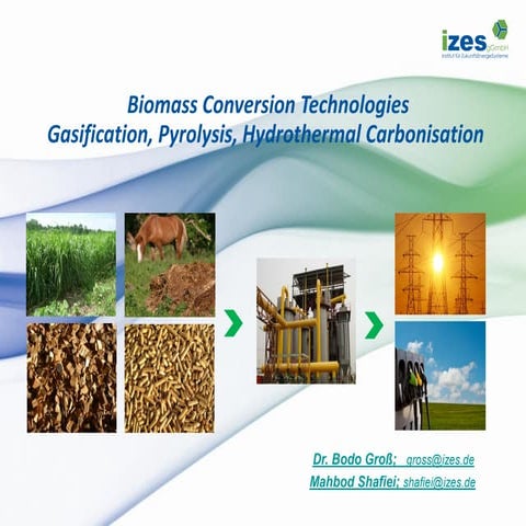 20131008 Biomass Conversion Technologies | PDF