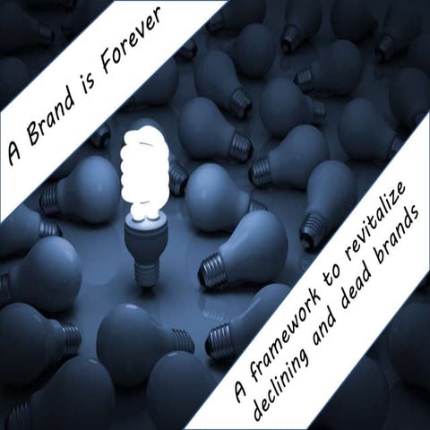 Brand Revitalization | PDF