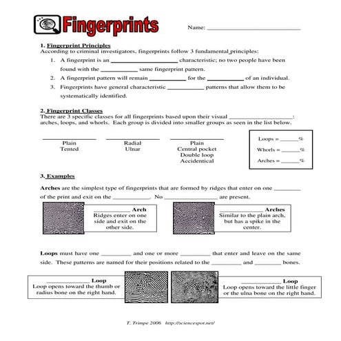 1fingerprintbasics student | PDF | Needlework | Arts and Crafts
