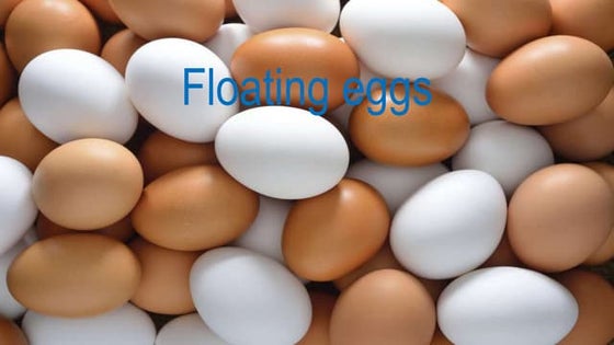 Floating Eggs | PPT | Science