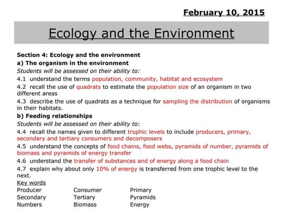 Food Chain and Food Web | PPTX