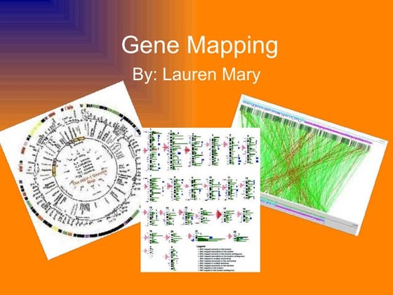 Brief Detail on Genetic Mapping | PPT