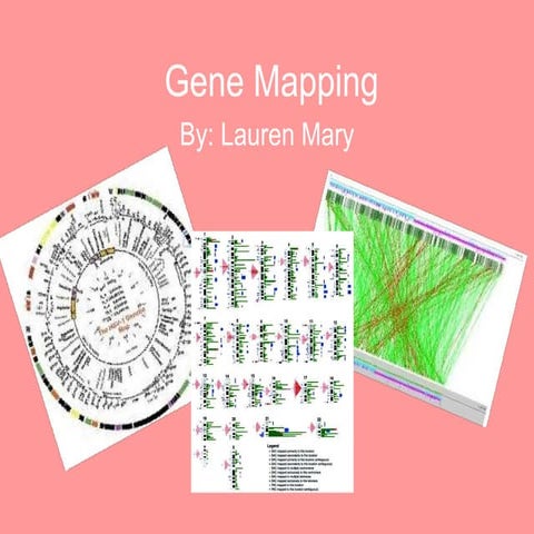 1 gene mapping presintaion | PPT