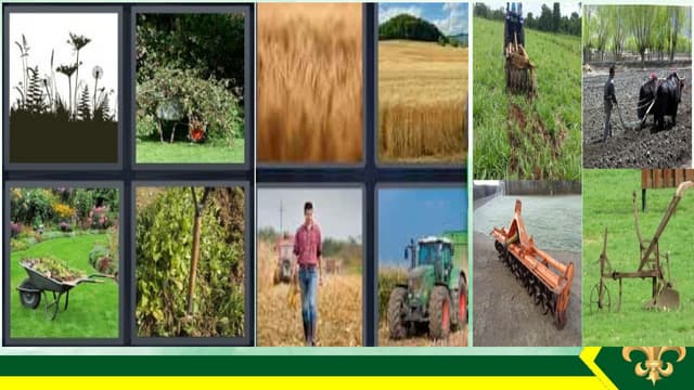 Lesson 2 Sharpening Tools (Dangers of Farm Tools - Agricrop Production grade 9.pptx