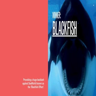 Black Fish Documentary Analysis | PPTX