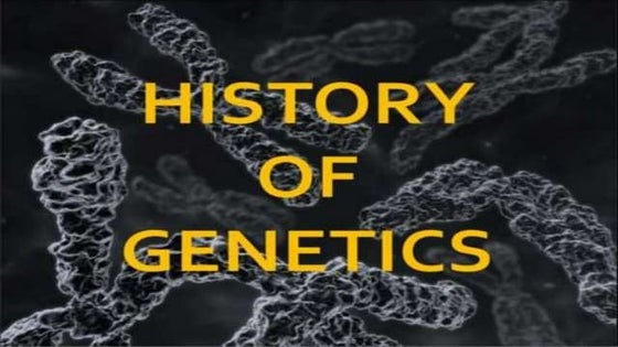 Introduction to Genetics | PPT