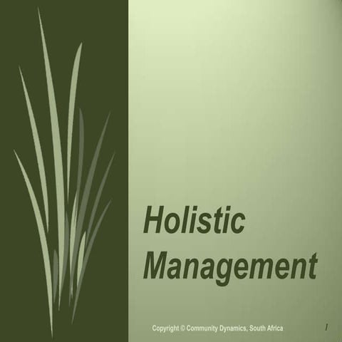 Holistic management, key insights and brittleness by Ian Mitchell-Innes ...