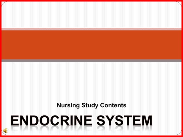 The Endocrine System | PPT