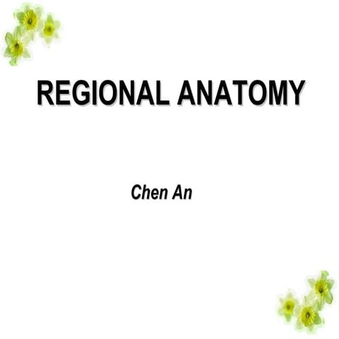 1 introduction of regional anatomy | PPT
