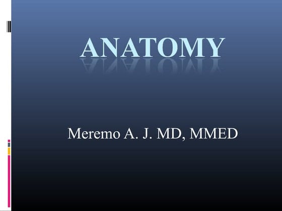 Basic anatomical terminology | PPT