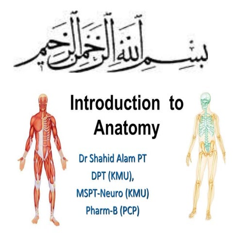 Introduction to Anatomy, Branches of Anatomy, Origin of Anatomy, BD ...