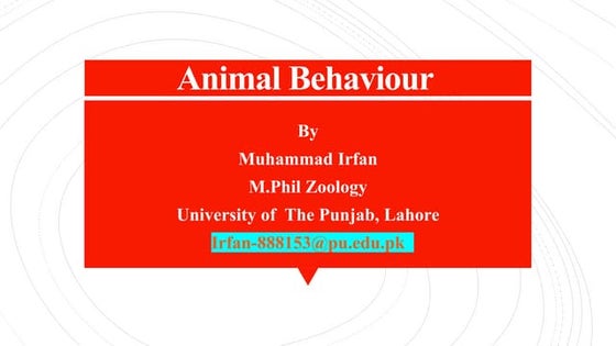 animal behaviours and its types with examples | PPTX