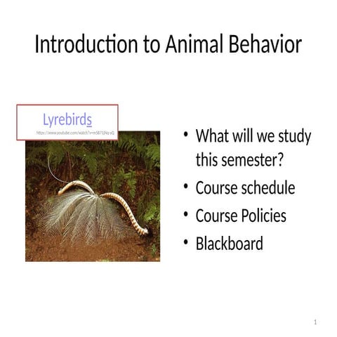 CHpt 1 Introduction to Animal Behavior.pptx