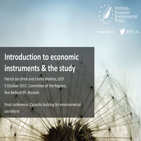 Introduction to economic instruments & the study | PPT
