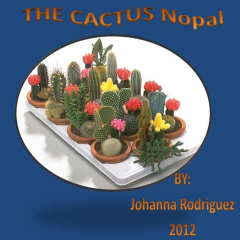 1 johanna rodriguez el nopal presentation(1) | PPTX