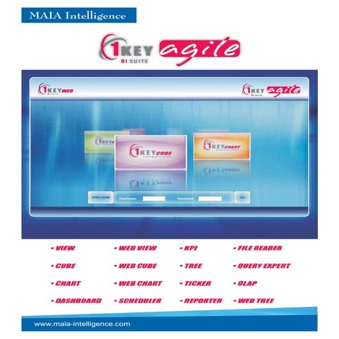 1KEY AGILE Data Sheet | PDF