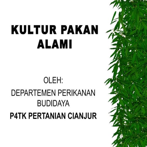 1 kultur pakan alami | PPT