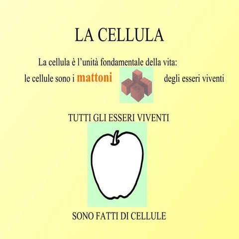 1 la cellula | PPT