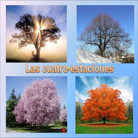 Vocabulario - Las Estaciones del año | PPSX