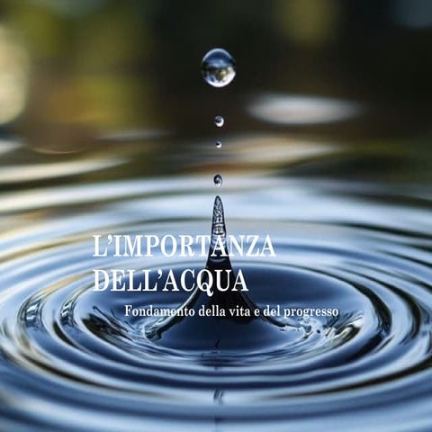 l'importanza dell’acqua per l'ambiente e lop sviluppo | PPTX