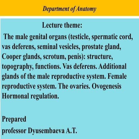 Anatomy of male Reproductive health.pptx