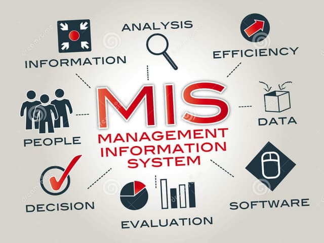 Management Information System PPT | PPTX